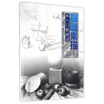 基础素描(下从入门到精通)