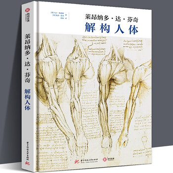 伯里曼人体结构绘画教学【多规格自选】牛津艺用人体、动物解剖学 解构人体-艺术人体解剖 夏帕德 弗里茨 人体素描从入门到精通 莱昂纳多达芬奇 解构人体