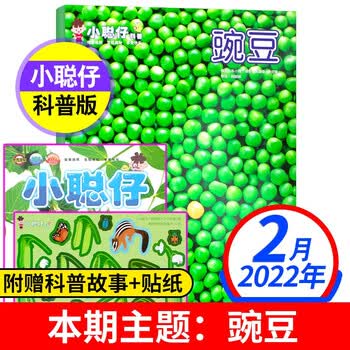 【新期到】小聪仔科普版2022年6月 蘑菇是植物吗【单本多期可选】幼儿益智兴趣智力开发低年级儿童科普百科自然探索奥秘非2021过期刊 【单本】科普版2022年2月