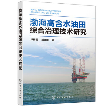 渤海高含水油田综合治理技术研究