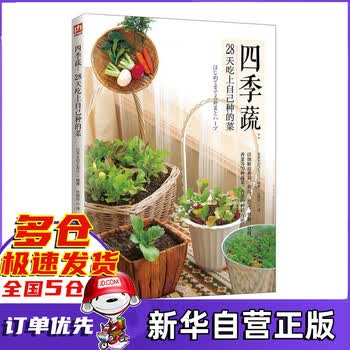 四季蔬--28天吃上自己种的菜