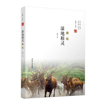 湿地精灵：麋鹿