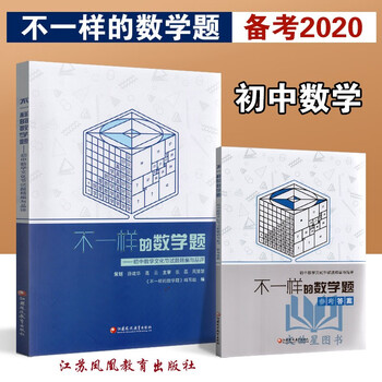 不一样的数学题 小学数学文化节试题精编与品评 包含一本参考答案 小学数学试题集拓展提优奥数 新思维解 不一样的数学题 初中数学文化节试题精编与品评