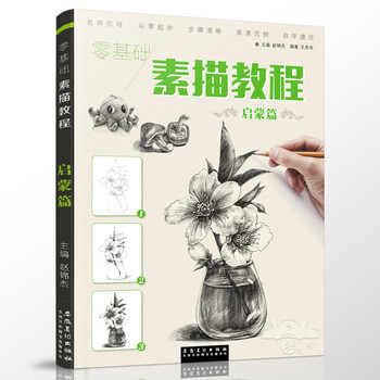 《零基础素描教程 启蒙篇》手绘铅笔画入门教材赵锦杰编学生美术教材初学素描花卉玩具蔬果技法书