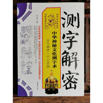 正版测字解密 中华神秘文化测字术  蔡大成 周易书籍 书