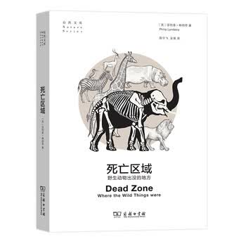 死亡区域
