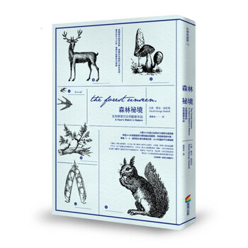《森林秘境 畅销改版》 生物学家的自然观察年志 商周出版 精彩生动的43堂自然课 港台图书预售