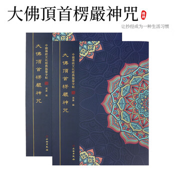 楞严咒经书抄经本楞严经手抄本经文临摹硬笔佛经字帖结缘复古 12本+1笔40芯