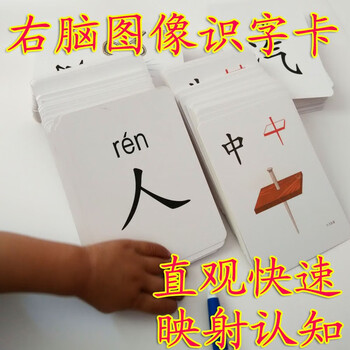 【老师推荐】幼早教启蒙 直映识字卡片 左右脑看图画认字卡片生汉字卡 超大卡 中号/第五册+第六册
