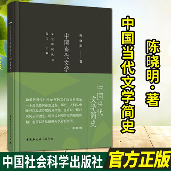 中国当代文学简史（2020） 陈晓明 著 中国社会科学出版社 文艺通识丛书