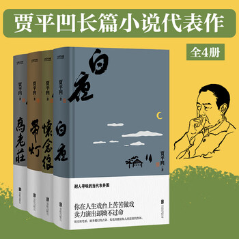 命运四书 贾平凹长篇小说代表作全4册  白夜+带灯+怀念狼+高老庄