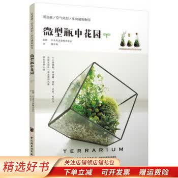 微型瓶中花园 周志燕