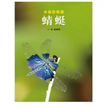 台版 蜻蜓 水边的精灵 引领孩子透过镜头观察蜻蜓生态的纪实绘本儿童故事