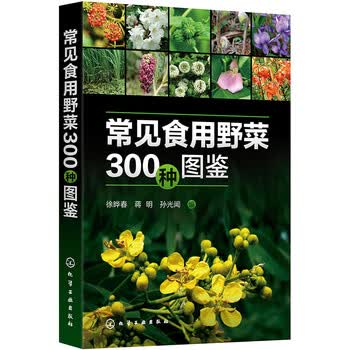 正版 常见食用野菜300种图鉴9787122387745