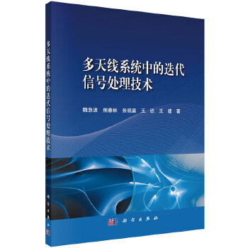 多系统中的迭代信号处理技术 魏急波等 科学出版社