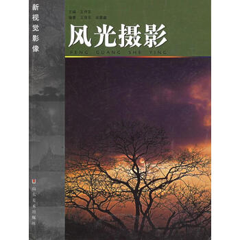 风光摄影(新视觉影像)摄影风光摄影摄影技术普通成人图书