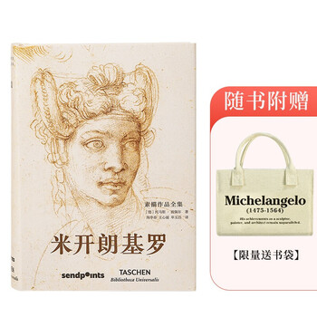 米开朗基罗 素描作品全集 世界图书馆系列大师作品集简体中文 TASCHEN