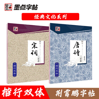 墨点字帖 练字帖楷书字帖行书字帖 楷行双体唐诗宋词三百首国学经典硬笔书法钢笔字帖 2册