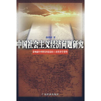 中国经济问题研究