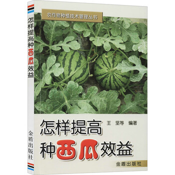 怎样提高种西瓜效益