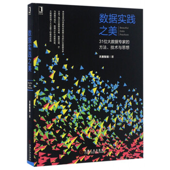 数据实践之美(31位大数据专家的方法技术与思想)