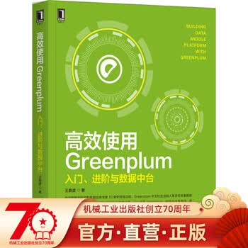 高效使用Greenplum：入门、进阶与数据中台