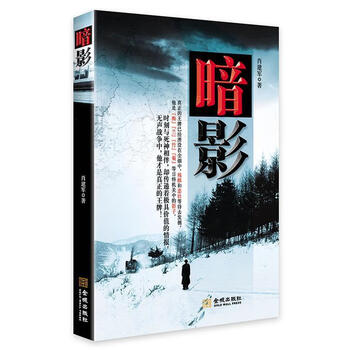 暗影 肖建军 小说 9787515508245