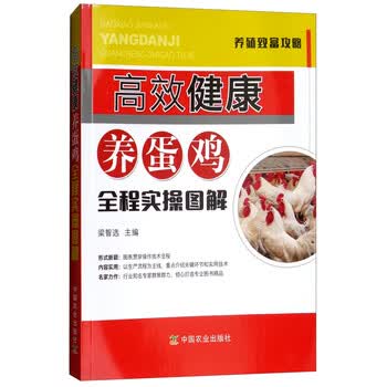 高效健康养蛋鸡全程实操图解