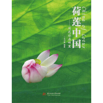 荷莲中国:荷花你在哪里【保证正版】