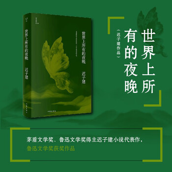 世界上所有的夜晚(迟子建作品)茅盾文学奖 鲁迅文学奖得主迟子建小说代表作,鲁迅文学奖获奖作品 作家出