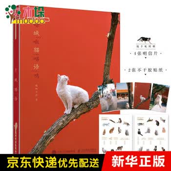 皇城猫语 喵呜不停 主题手账