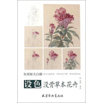 设色没骨草本花卉【新华书店，售后无忧】