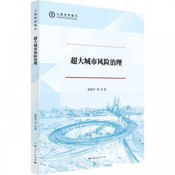 超大城市风险治理 孙建平等