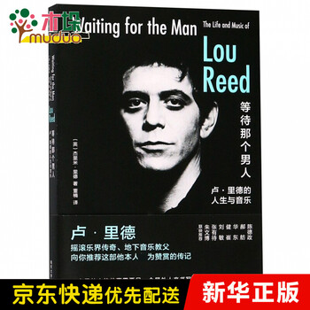 等待那个男人(卢·里德的人生与音乐)