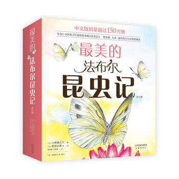 最美的法布尔昆虫记：松冈达英给孩子创作的绘本版昆虫记，有趣的昆虫故事，不一样的科普绘本，配有观察实验、昆虫档案，12册（爱心树童书）