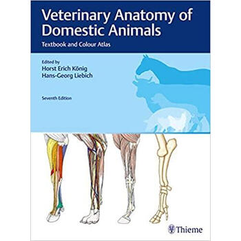 Veterinary Anatomy of Domestic Animals: Textbook