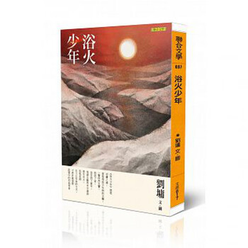 预售 浴火少年联合文学 17