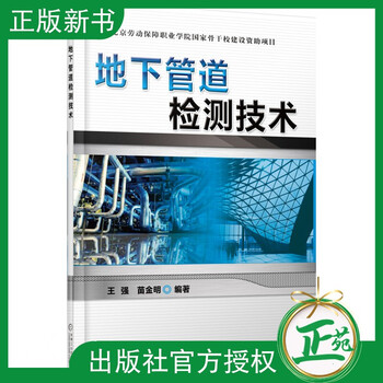 地下管网检测技术 王强,苗金明著 管道探测与安全检测书籍 地下管网探测技术 地下管道泄漏检测技术 地