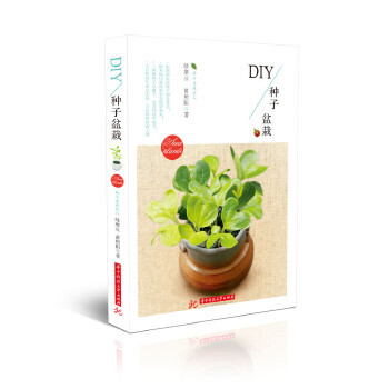 DIY种子盆栽