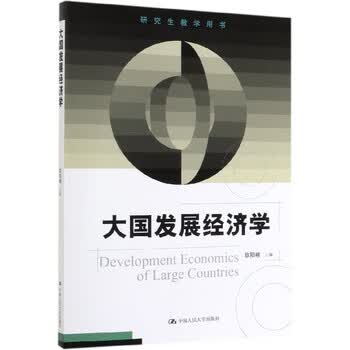 大国发展经济学(研究生教学用书)