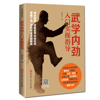 武学内劲入门实操指导 刘永文 北京科学技术出版社武术内家拳初学