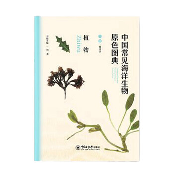 中国常见海洋生物图典  植物