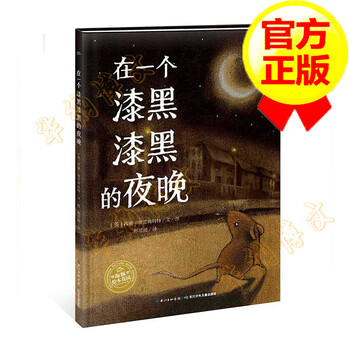 在一个漆黑漆黑的夜晚
