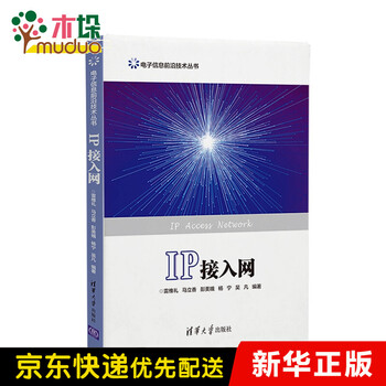 IP接入网/电子信息前沿技术丛书
