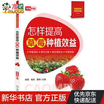 怎样提高草莓种植效益