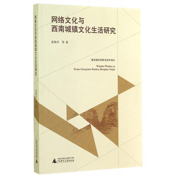 网络文化与西南城镇文化生活研究