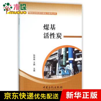 煤基活性炭/煤炭洁净利用与煤化工技术丛书