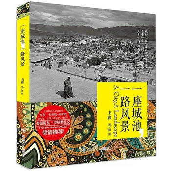 【新华正版】 一座城池，一路风景 王鑫 四川大学出版社