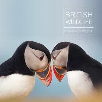 British Wildlife Photography Awards: Collection 