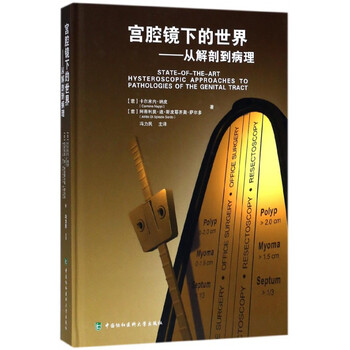 宫腔镜下的世界--从解剖到病理(精)
